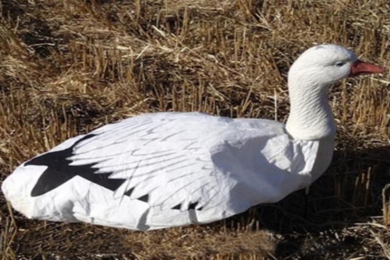 Wholesale OEM available canada goose decoy windsock | China super ...